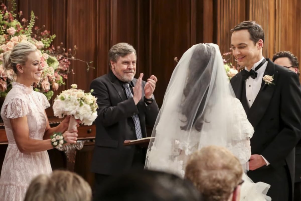 18 Memorable Celebrity Guest Spots on TV