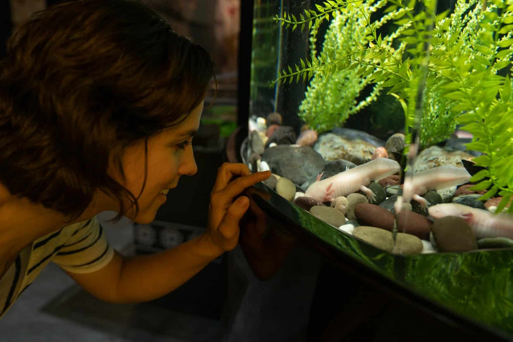 17 Cutest Exotic Pets That Will Steal Your Heart