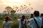 17 Outdoor Activities That Improve Your Well-Being